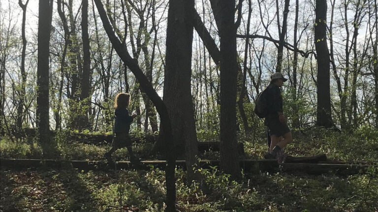 Update: Fall 2021 programming - Taproot Nature Experience